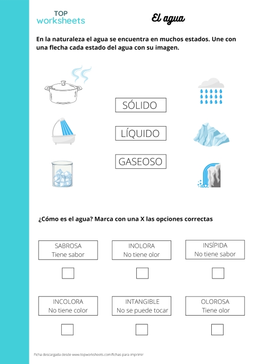 Sopa de letras: El ciclo del agua, ficha para imprimir | TopWorksheets Sopa de letras: El ciclo del agua, ficha para imprimir | TopWorksheets