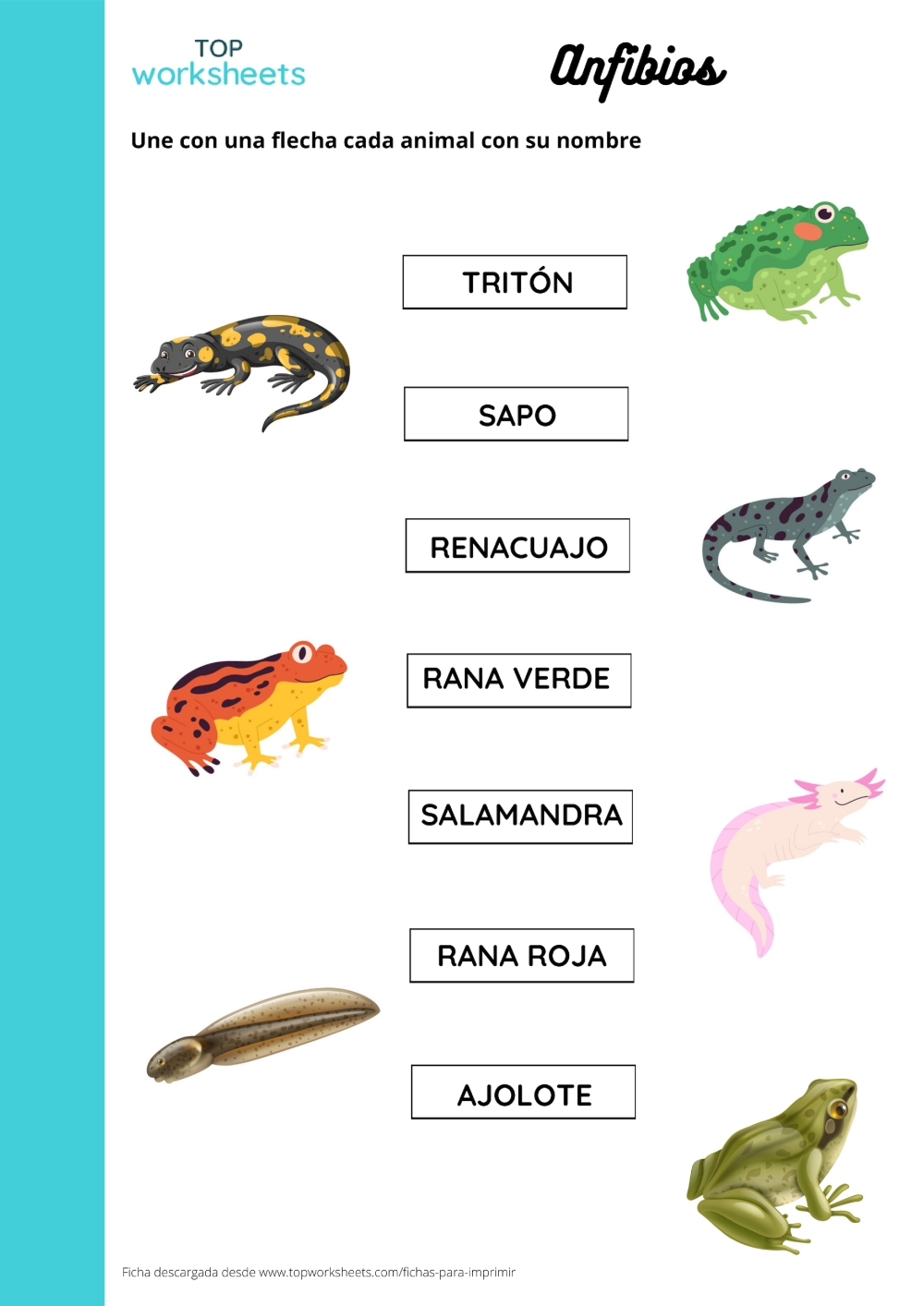 Lista De Repteis E Anfibios