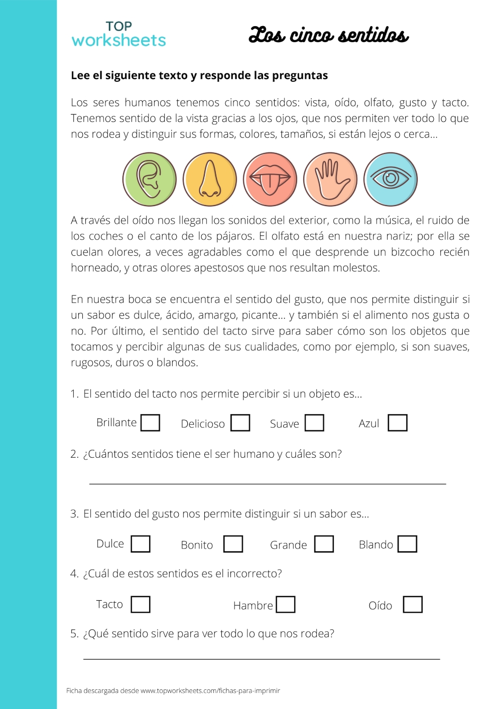 Los 5 Sentidos Ficha Interactiva Ejercicios De Escritura Sentidos