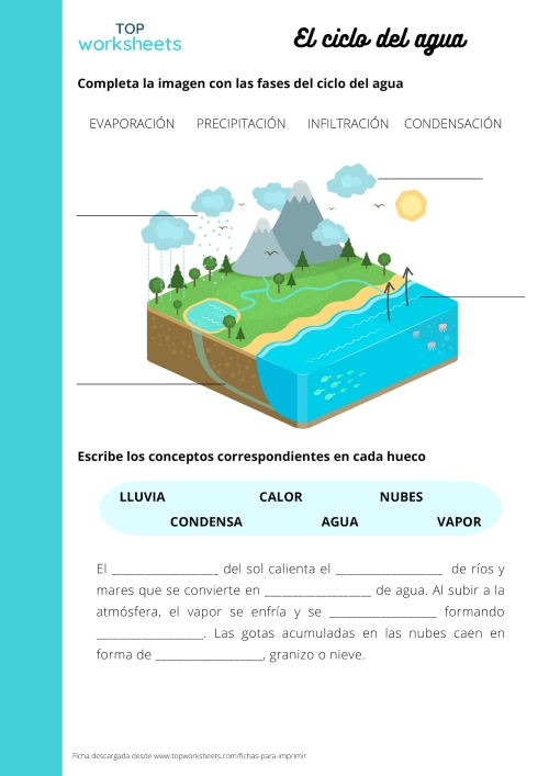 Fichas para imprimir del ciclo del agua | TopWorksheets