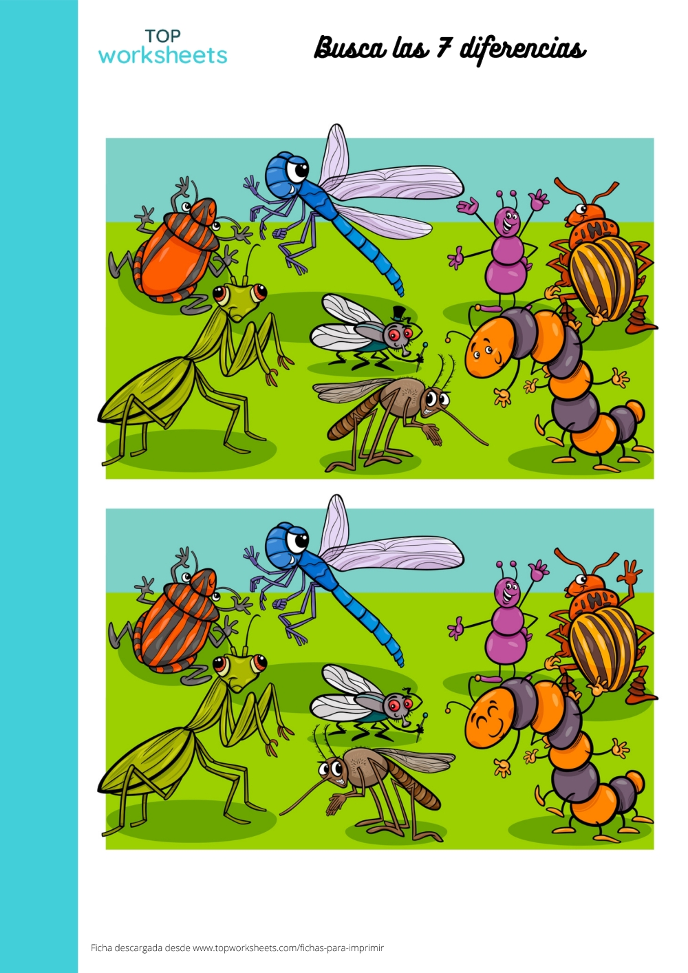 Insectos simpáticos, ficha para imprimir | TopWorksheets
