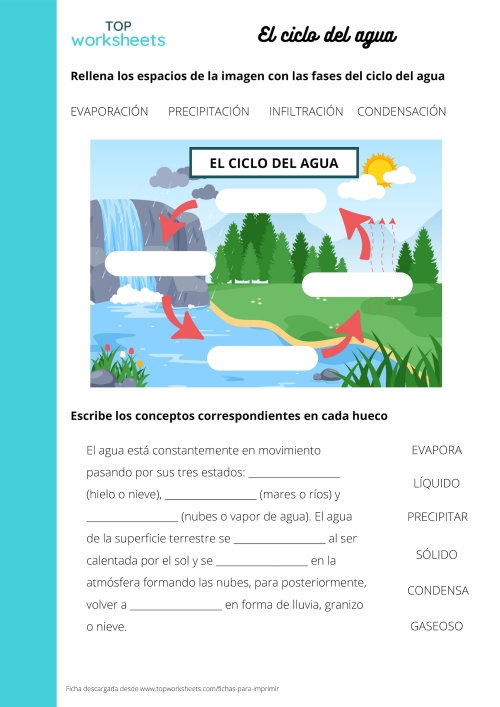 Los estados del agua, ficha para imprimir | TopWorksheets