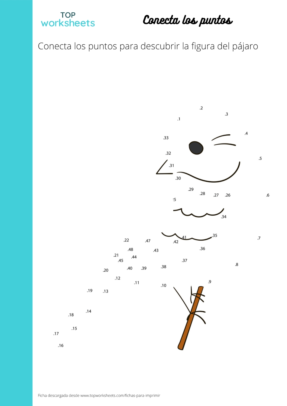 Pájaro Ficha Para Imprimir Topworksheets
