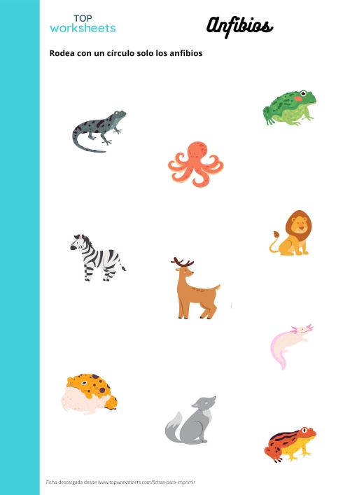 Fichas para imprimir de animales | TopWorksheets
