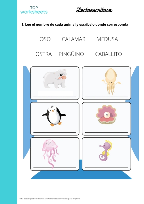 TopWorksheets