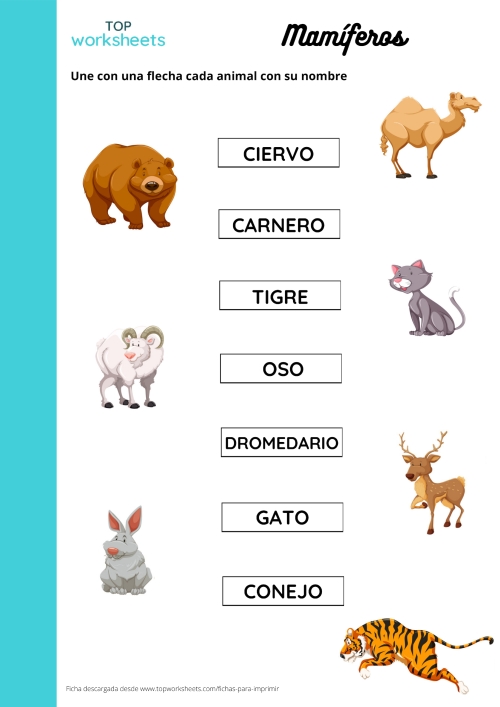 Fichas para imprimir de animales | TopWorksheets
