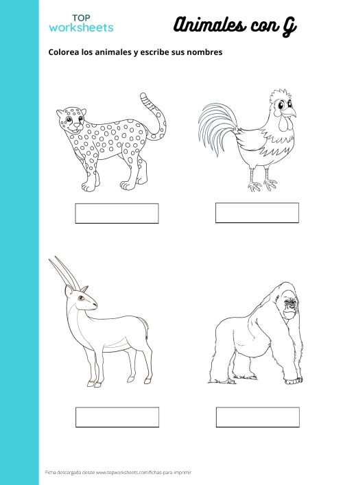 Colorea animales con G, ficha para imprimir | TopWorksheets